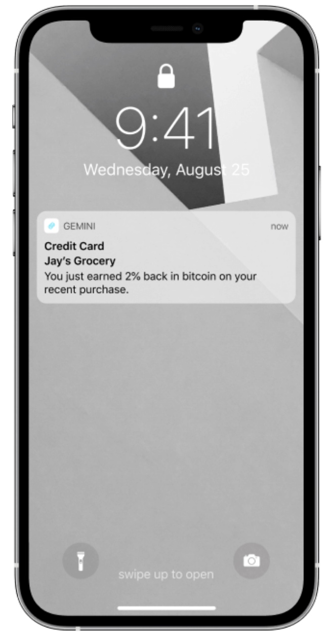 Everything You Need To Know About The Gemini Credit Card - Luggage Guru