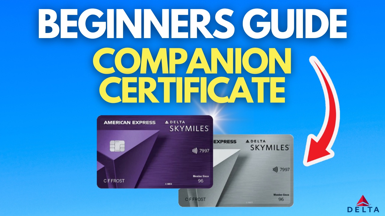 What You Need To Know About Delta Companion Certificate (For Beginners ...